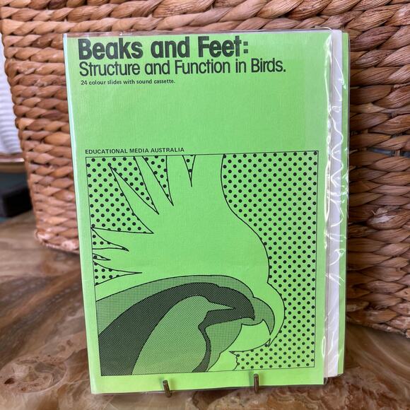 Unknown | Other | Beaks And Feet Bird Educational Guide With Slides ...